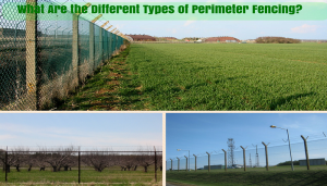 What Are the Different Types of Perimeter Fencing?